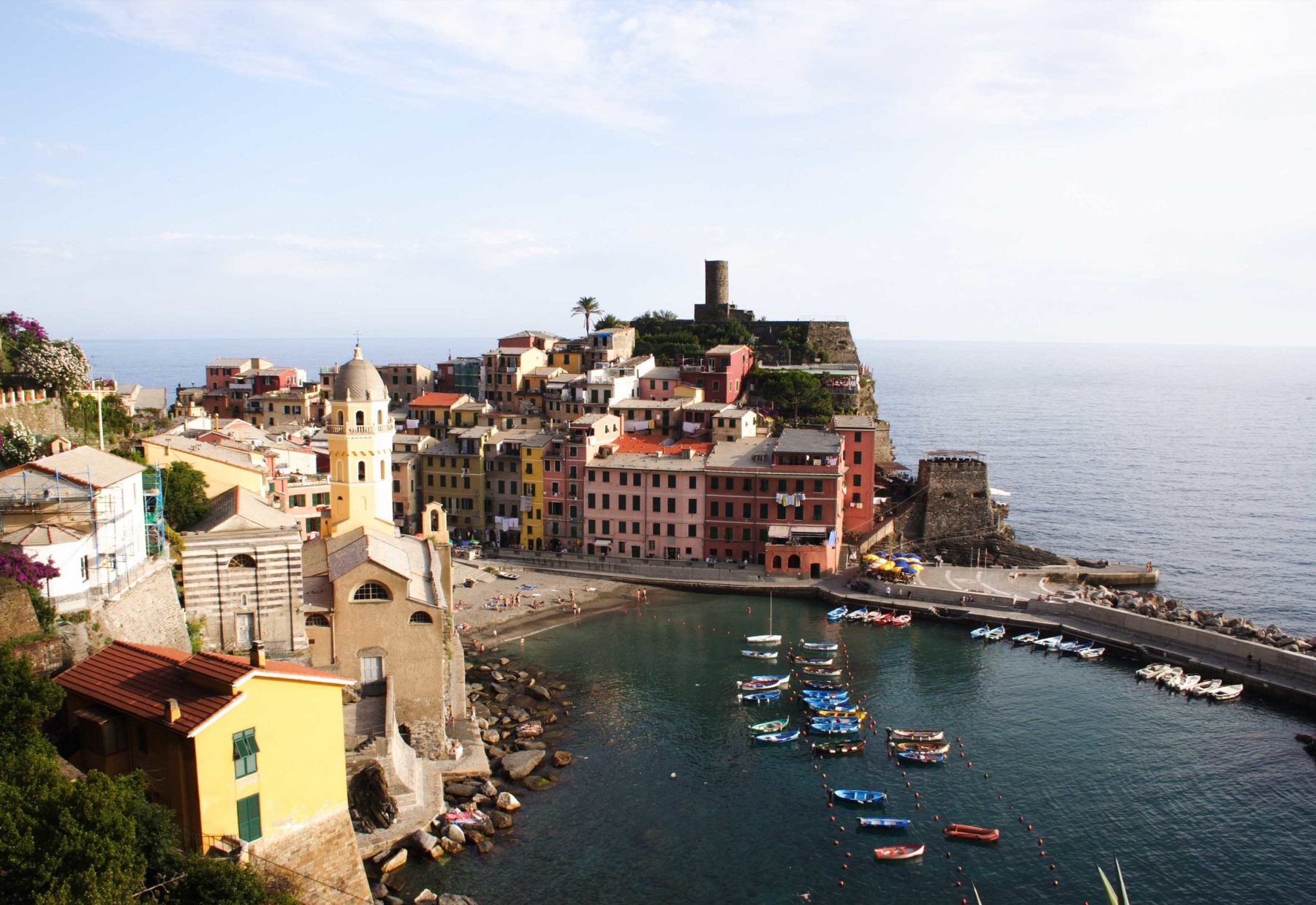 COVID-19 Perceptions from the Gulf and Levant Countries - Premise